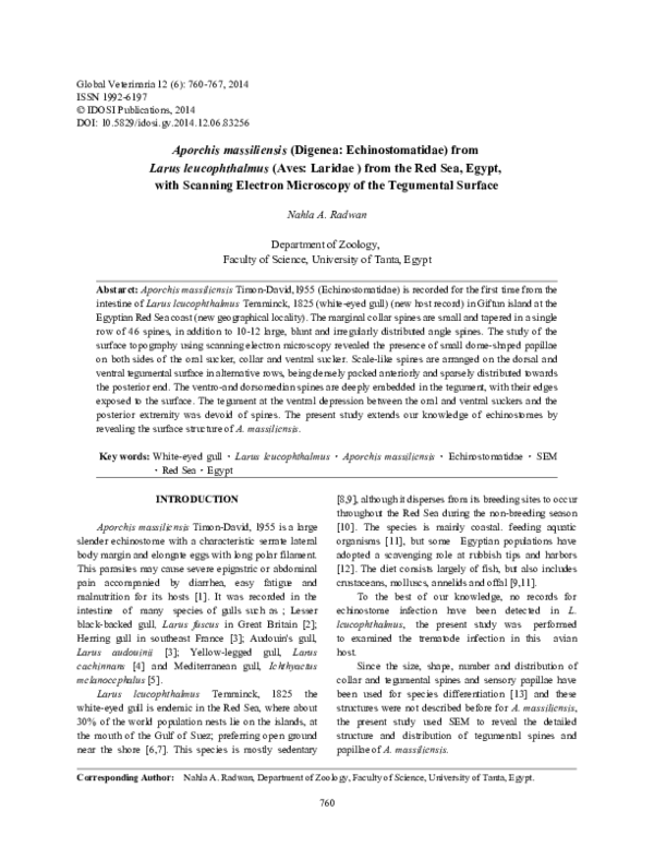 (PDF) The tegumental surface of Phyllodistomum conostomum (Olsson, 1876 ...