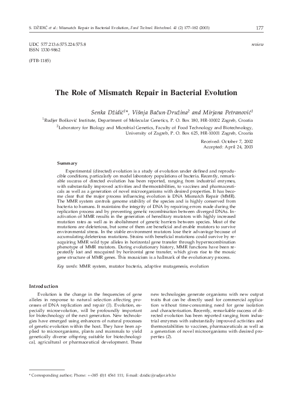 (PDF) The Role of Mismatch Repair in Bacterial Evolution