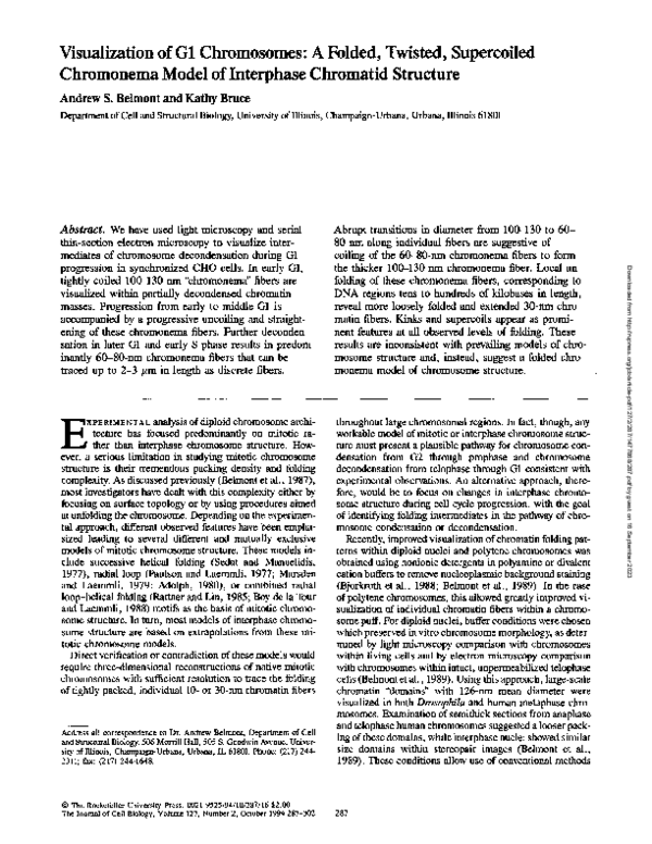 (PDF) Visualization of G1 chromosomes: a folded, twisted, supercoiled ...