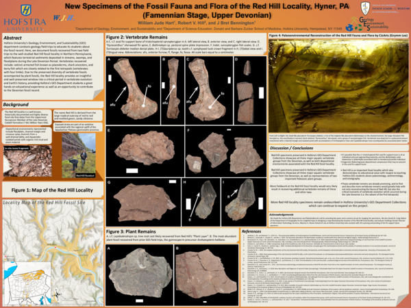 (PDF) New Specimens of the Fossil Fauna and Flora of the Red Hill ...