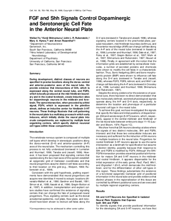 (PDF) FGF and Shh Signals Control Dopaminergic and Serotonergic Cell ...