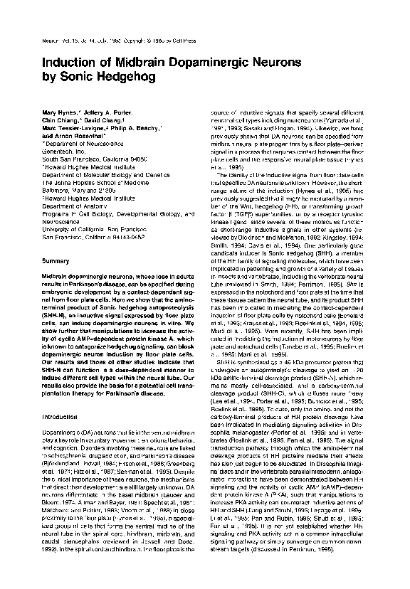 (PDF) Induction of midbrain dopaminergic neurons by Sonic hedgehog