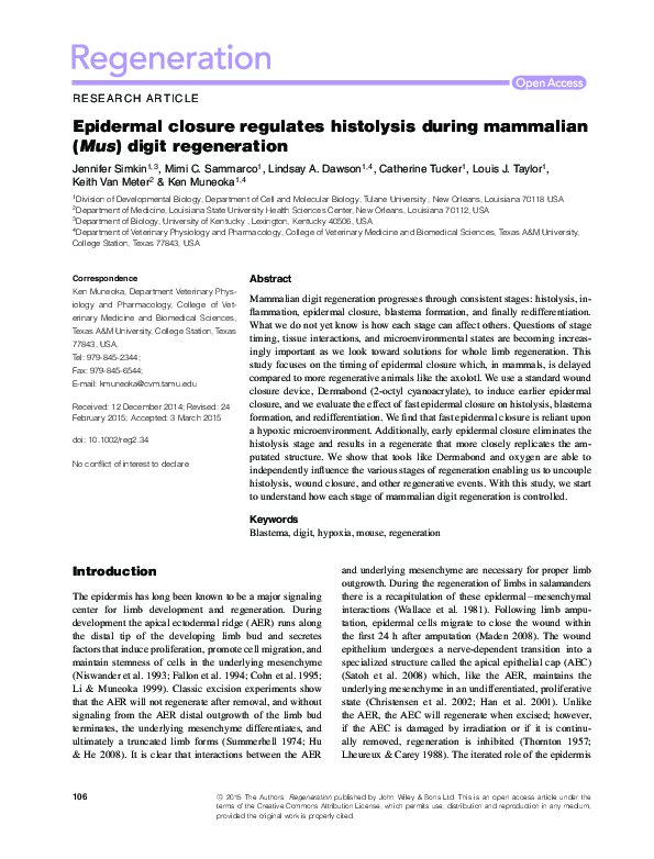 (PDF) Epidermal closure regulates histolysis during mammalian ( Mus ...