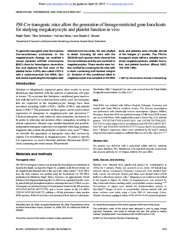 (PDF) Pf4-Cre transgenic mice allow the generation of lineage ...