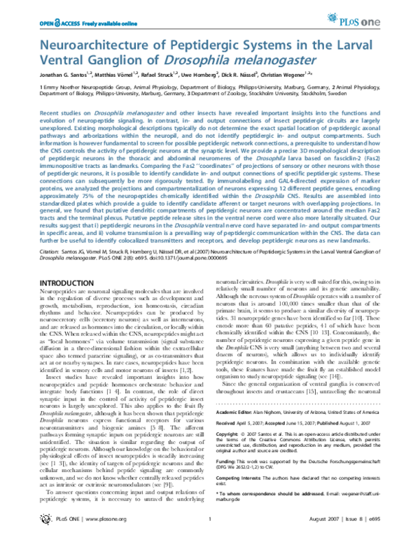(PDF) Neuroarchitecture of Peptidergic Systems in the Larval Ventral ...