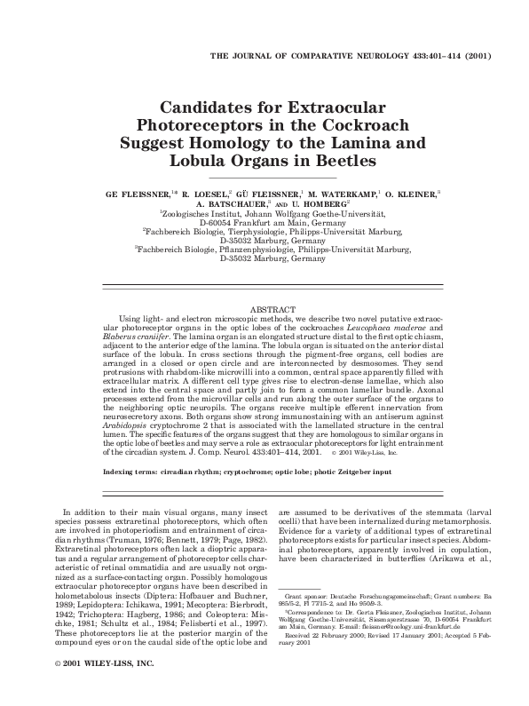 (PDF) Candidates for extraocular photoreceptors in the cockroach ...