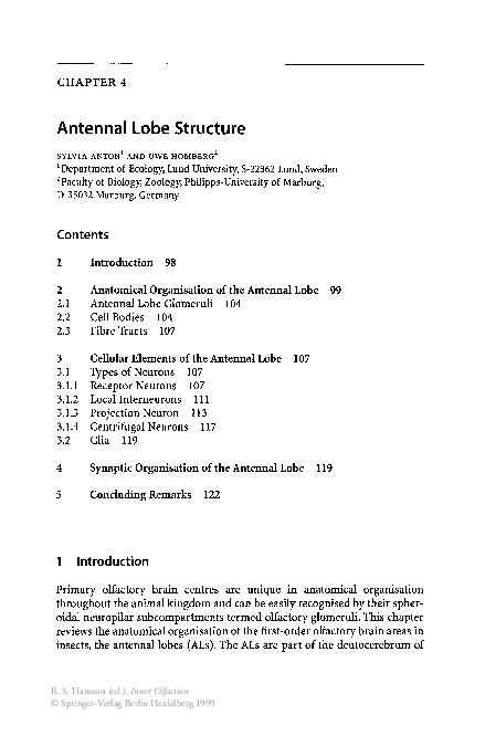 (PDF) Antennal Lobe Structure