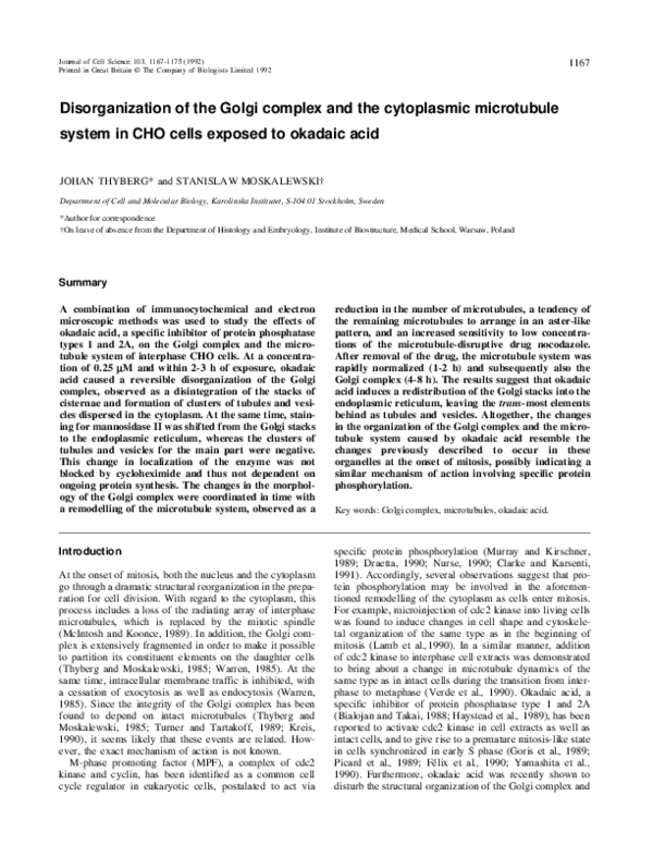 (PDF) Disorganization of the Golgi complex and the cytoplasmic ...