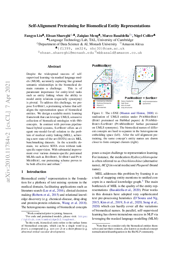(PDF) Self-Alignment Pretraining for Biomedical Entity Representations