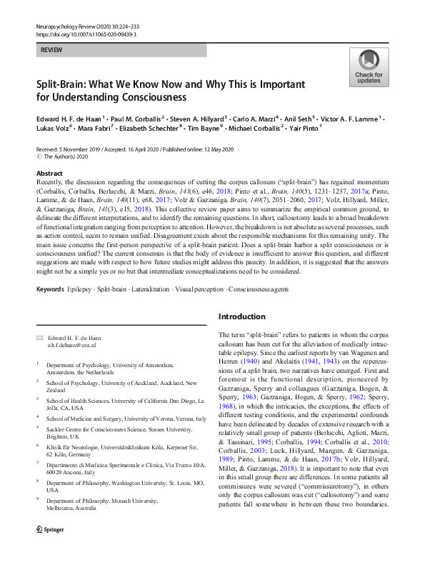 (PDF) Split-Brain: What We Know Now and Why This is Important for ...