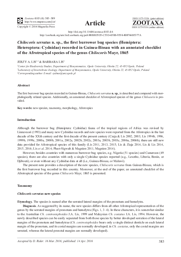 (PDF) Chilocoris serratus n. sp., the first burrower bug species ...