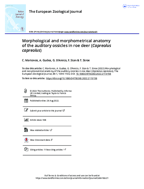 (PDF) Morphological and morphometrical anatomy of the auditory ossicles in roe deer (Capreolus ...