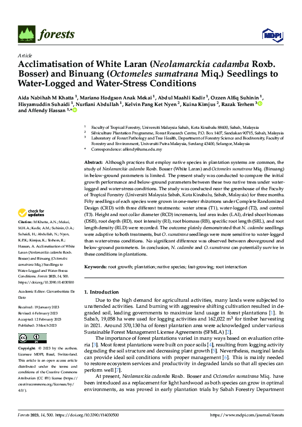 (PDF) Acclimatisation of White Laran (Neolamarckia cadamba Roxb. Bosser ...