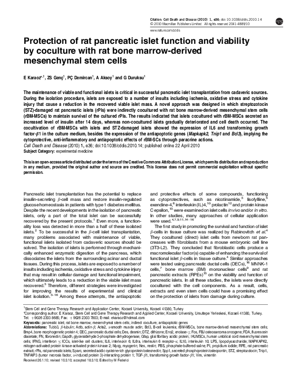 (PDF) Protection of rat pancreatic islet function and viability by ...