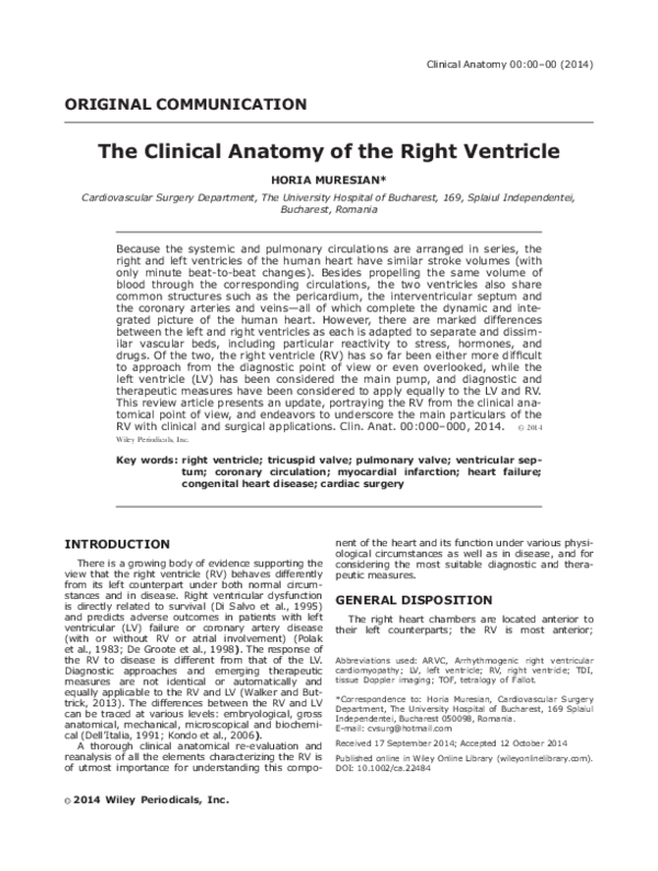 (PDF) The clinical anatomy of the right ventricle