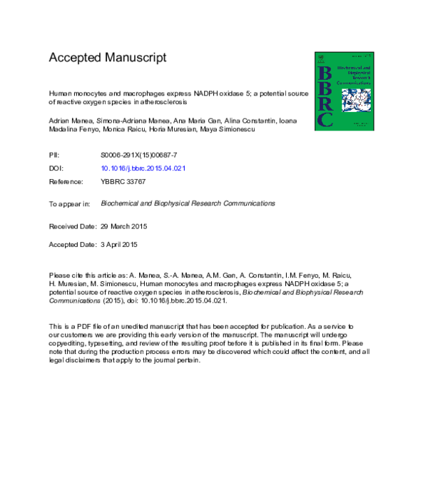 (PDF) Human monocytes and macrophages express NADPH oxidase 5; a ...