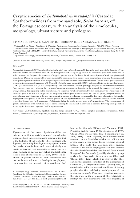 (PDF) Cryptic Species of Didymobothrium rudolphii in Solea