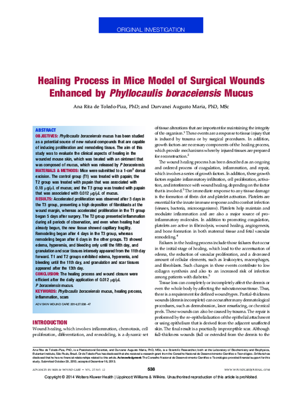 (PDF) Healing Process in Mice Model of Surgical Wounds Enhanced by ...