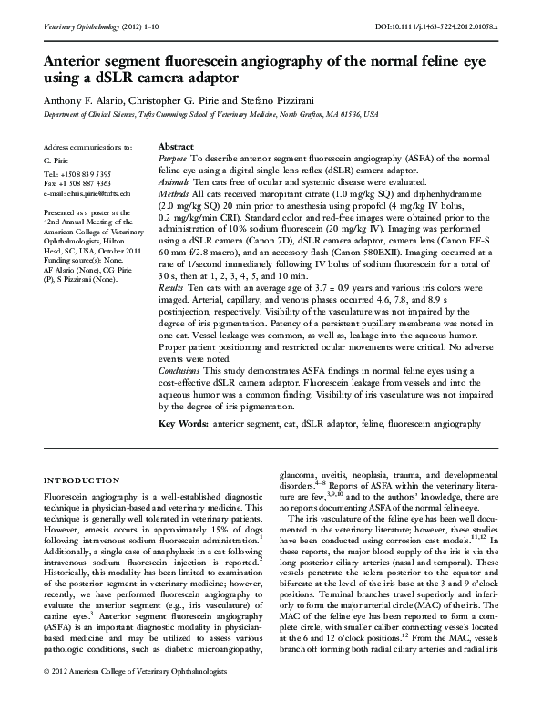 (PDF) Anterior segment fluorescein angiography of the normal canine eye ...