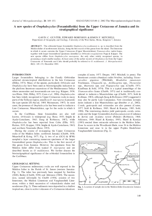 (PDF) A new species of Omphalocyclus (Foraminiferida) from the Upper ...