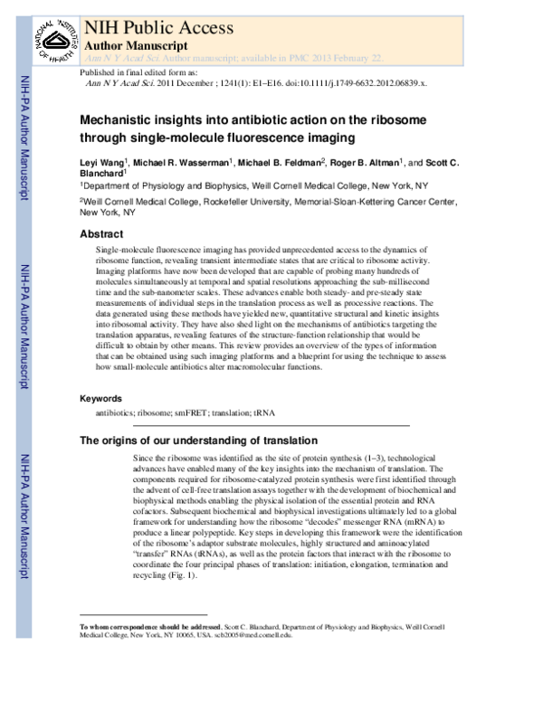 (PDF) Mechanistic insights into antibiotic action on the ribosome through single‐molecule ...