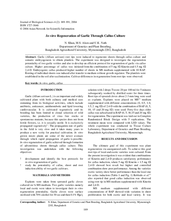 (PDF) In vitro Regeneration of Garlic Through Callus Culture