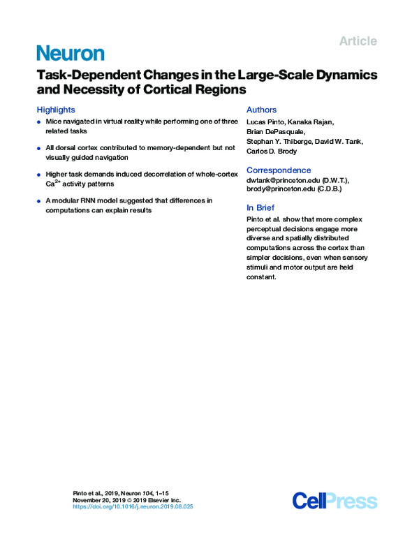 (PDF) Task-Dependent Changes in the Large-Scale Dynamics and Necessity of Cortical Regions ...
