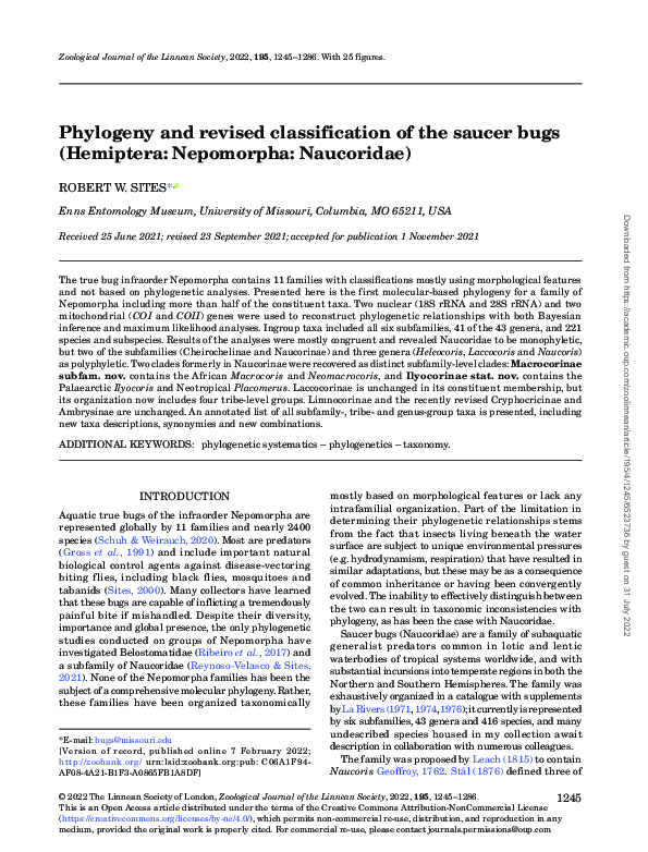 (PDF) Phylogeny and revised classification of the saucer bugs ...
