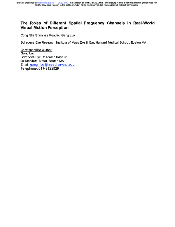 (PDF) The Roles of Different Spatial Frequency Channels in Real-World ...