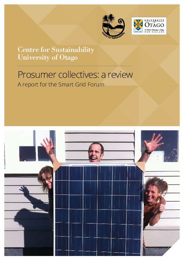 (PDF) Prosumer collectives: a review