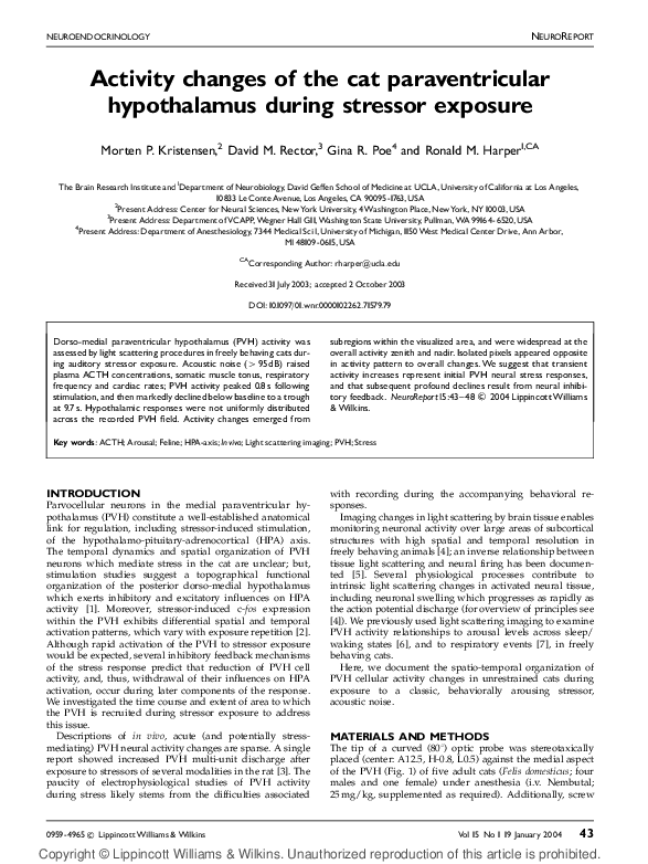 (PDF) Activity changes of the cat paraventricular hypothalamus during ...