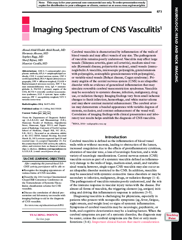 (PDF) Imaging Spectrum of CNS Vasculitis | Prof Dr Ahmed Hussein Abdel Razek (PUGScM) (Professor ...
