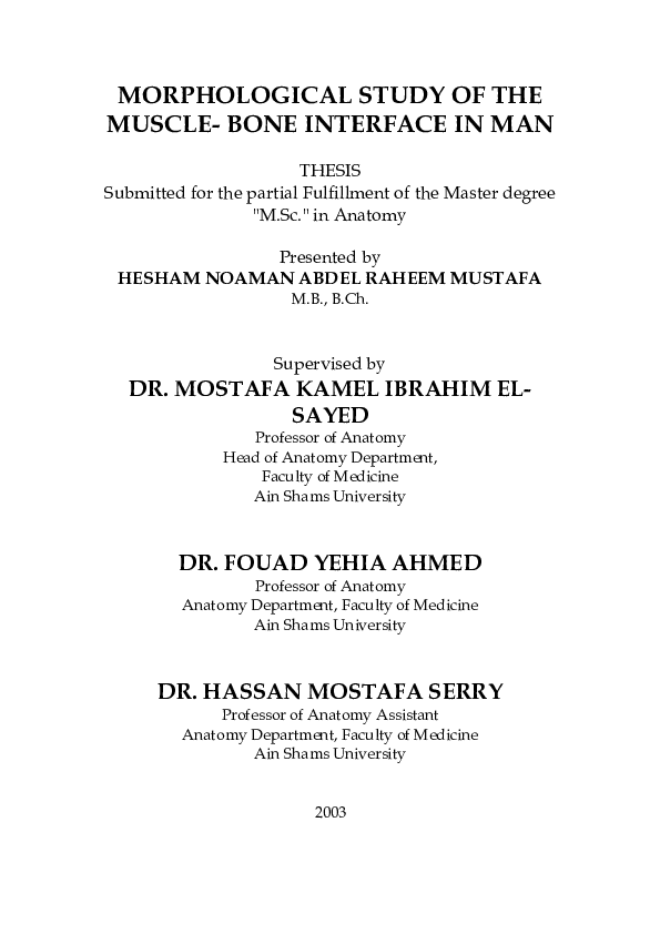 (PDF) Morphological Study of the Muscle- Bone Interface in Man