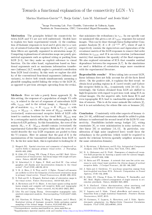 (PDF) Towards a Functional Explanation of the Connectivity LGN - V1