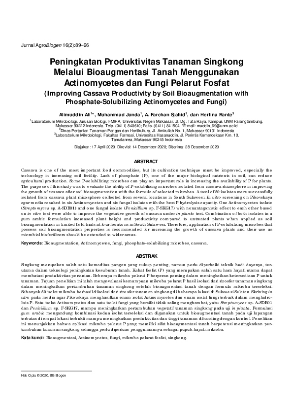 (PDF) Peningkatan Produktivitas Tanaman Singkong Melalui Bioaugmentasi ...