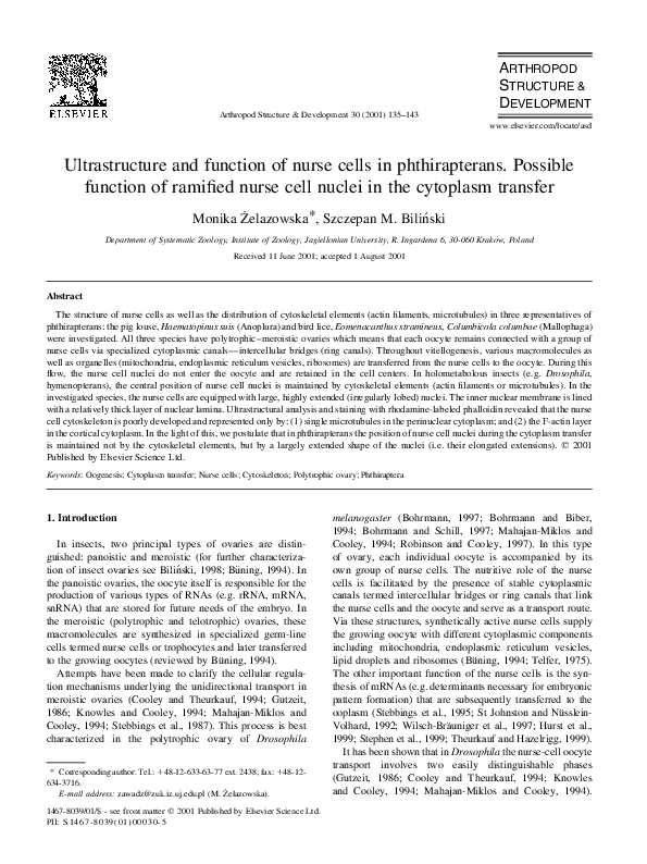 (PDF) Ultrastructure and function of nurse cells in phthirapterans. Possible function of ...
