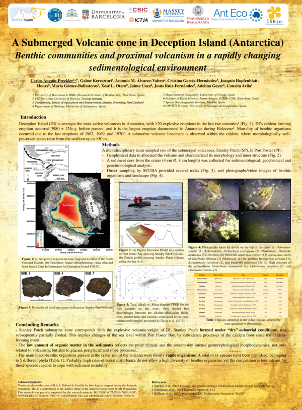 (PDF) A submerged volcanic cone in Deception Island (Antarctica ...