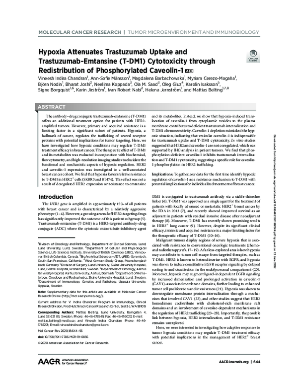 (PDF) Hypoxia Attenuates Trastuzumab Uptake and Trastuzumab-Emtansine ...