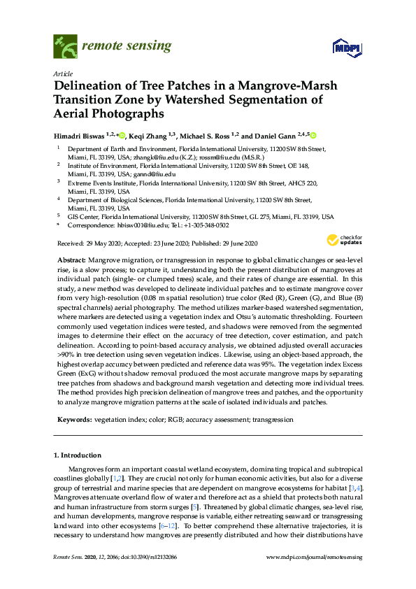 (PDF) Delineation of Tree Patches in a Mangrove-Marsh Transition Zone ...