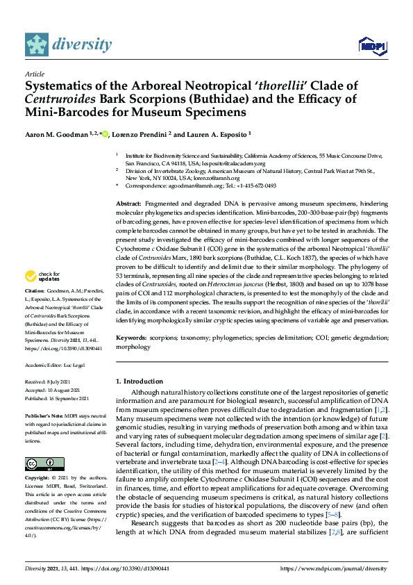 (PDF) Systematics of the Arboreal Neotropical ‘thorellii’ Clade of ...