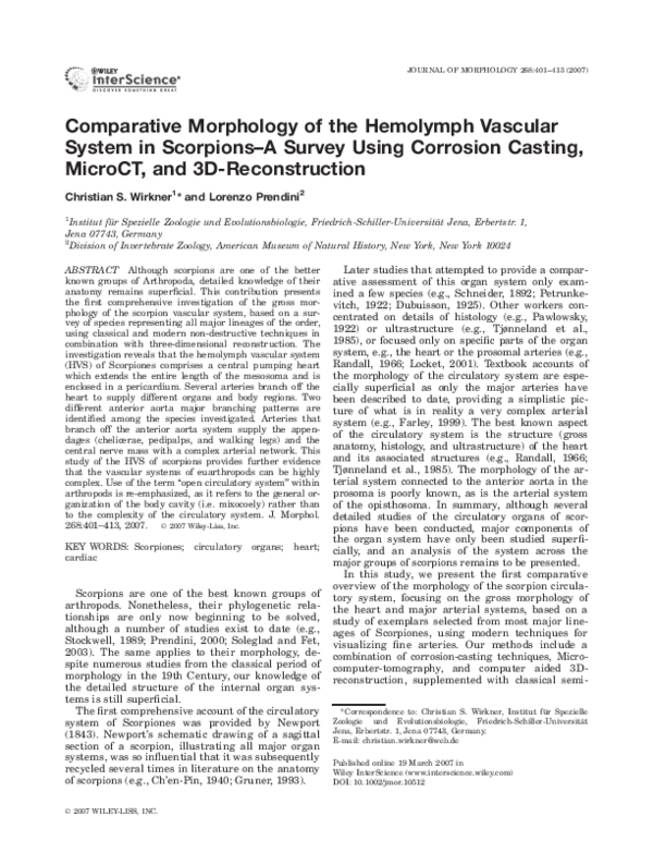 (PDF) Comparative morphology of the hemolymph vascular system in ...
