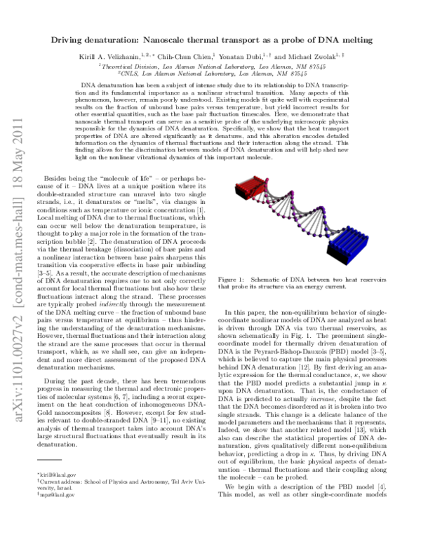 (PDF) Driving Denaturation: Nanoscale Thermal Transport As a Probe of ...