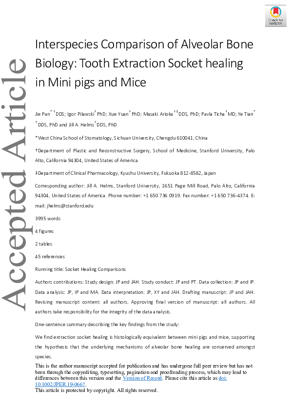 Pdf Interspecies Comparison Of Alveolar Bone Biology Tooth Extraction Socket Healing In Mini