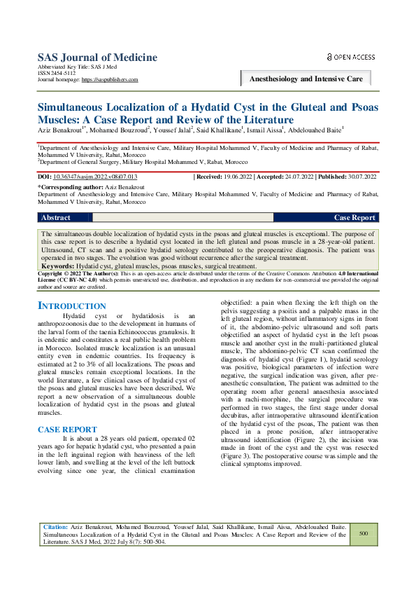 (PDF) Simultaneous Localization of a Hydatid Cyst in the Gluteal and ...