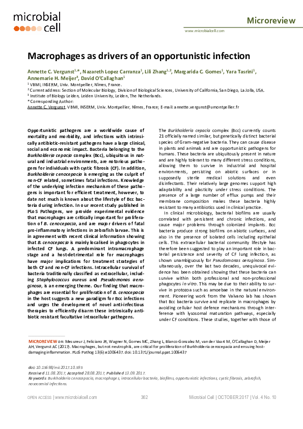(PDF) Macrophages as drivers of an opportunistic infection