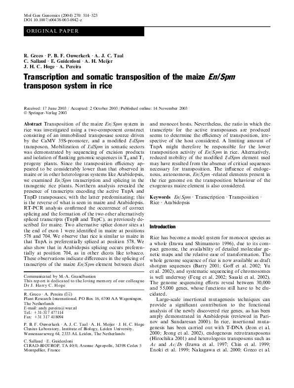 (PDF) Transcription and somatic transposition of the maize En / Spm ...