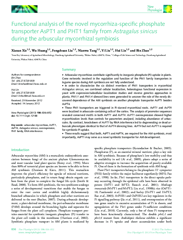 (PDF) Functional analysis of the novel mycorrhiza‐specific phosphate ...