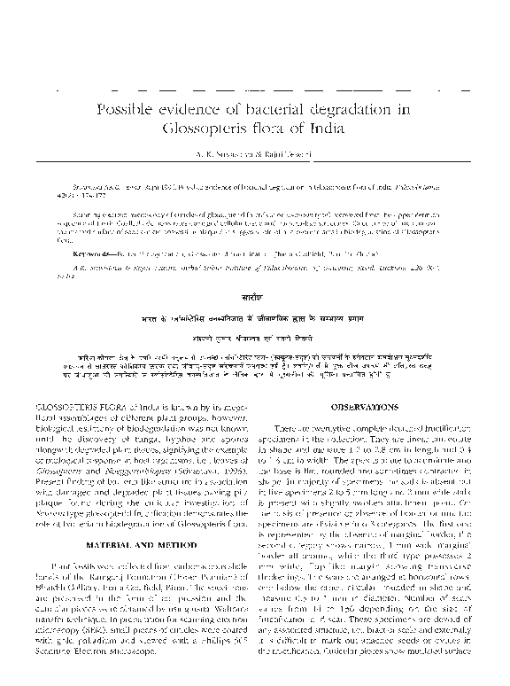 (PDF) Possible evidence of bacterial degradation in Glossopteris flora ...