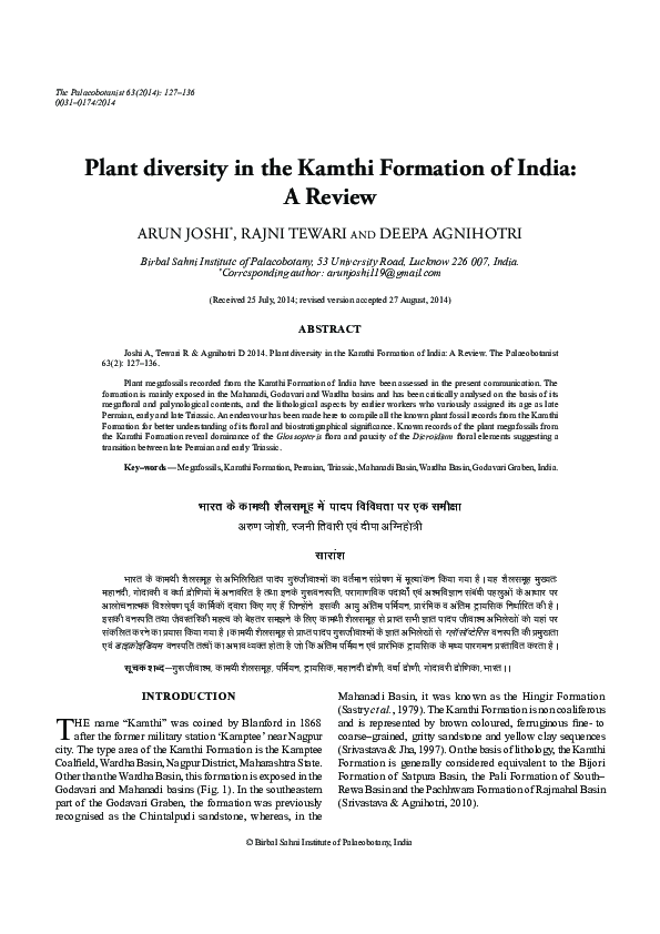 (PDF) Plant diversity in the Kamthi Formation of India: A Review