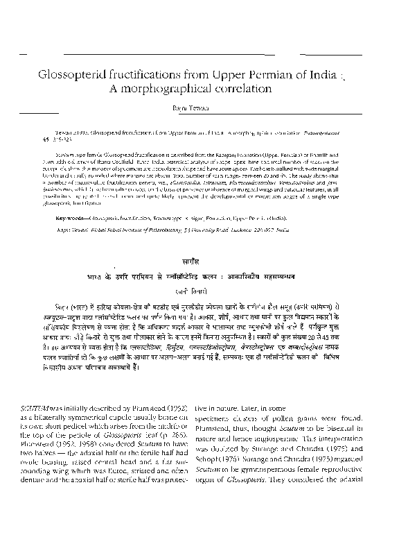 (PDF) Glossopterid fructifications from Upper Permian of India: A ...